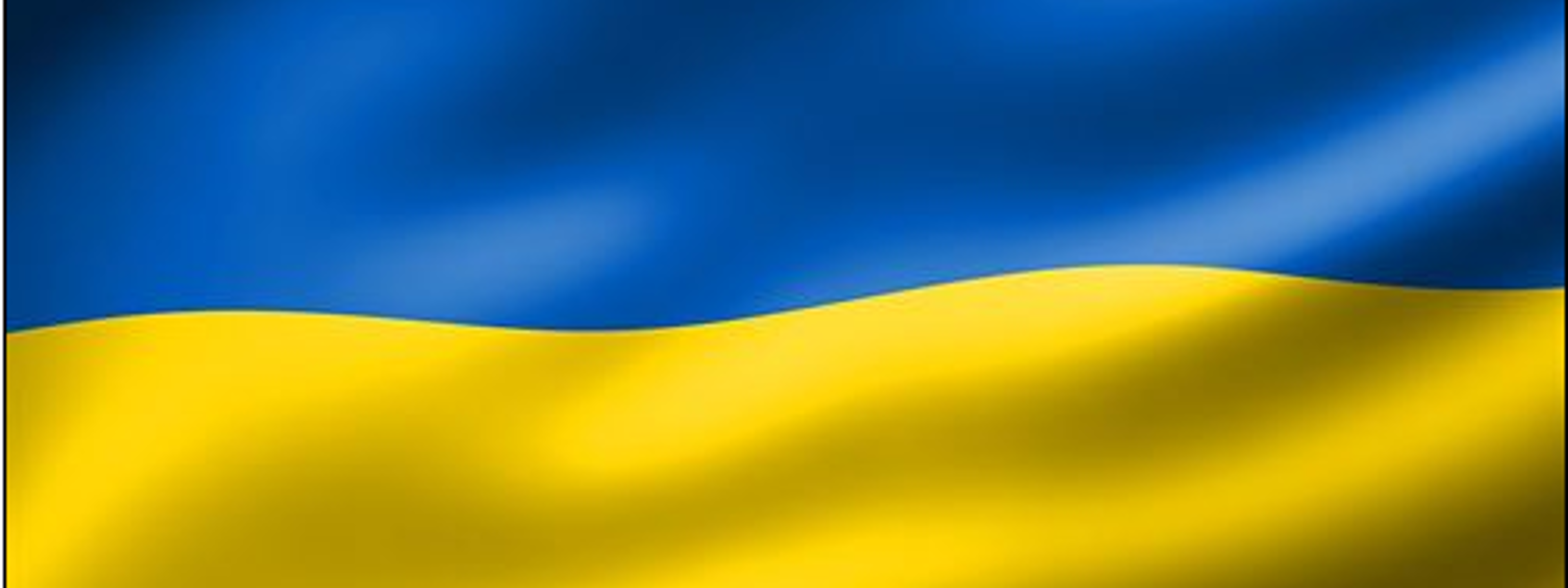 Ukrainske elever på TEV